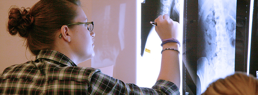 Advanced Radiology Courses! - Avila University